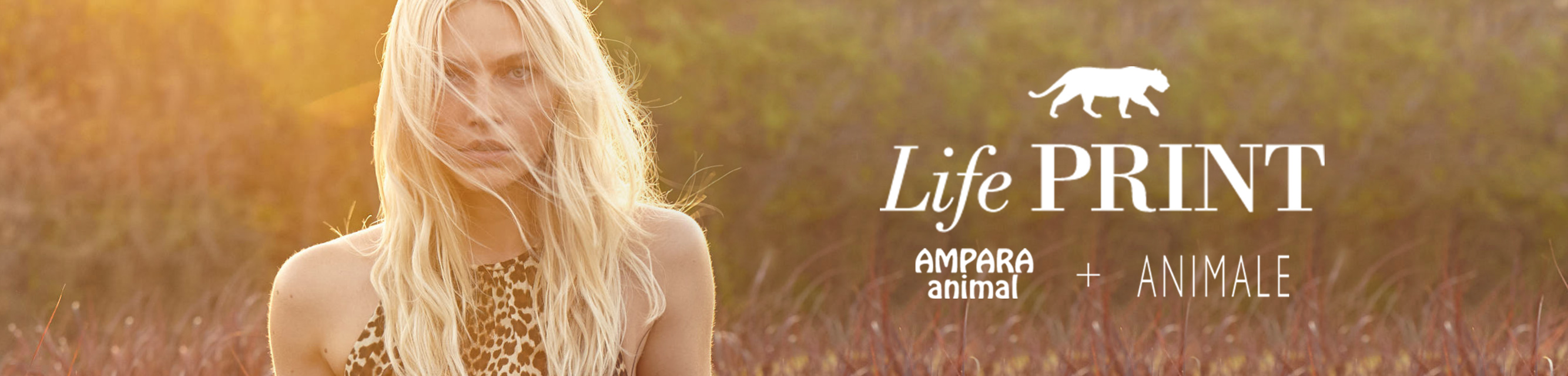 Coleção Espanha: Seda, Couro e Mais | ANIMALE